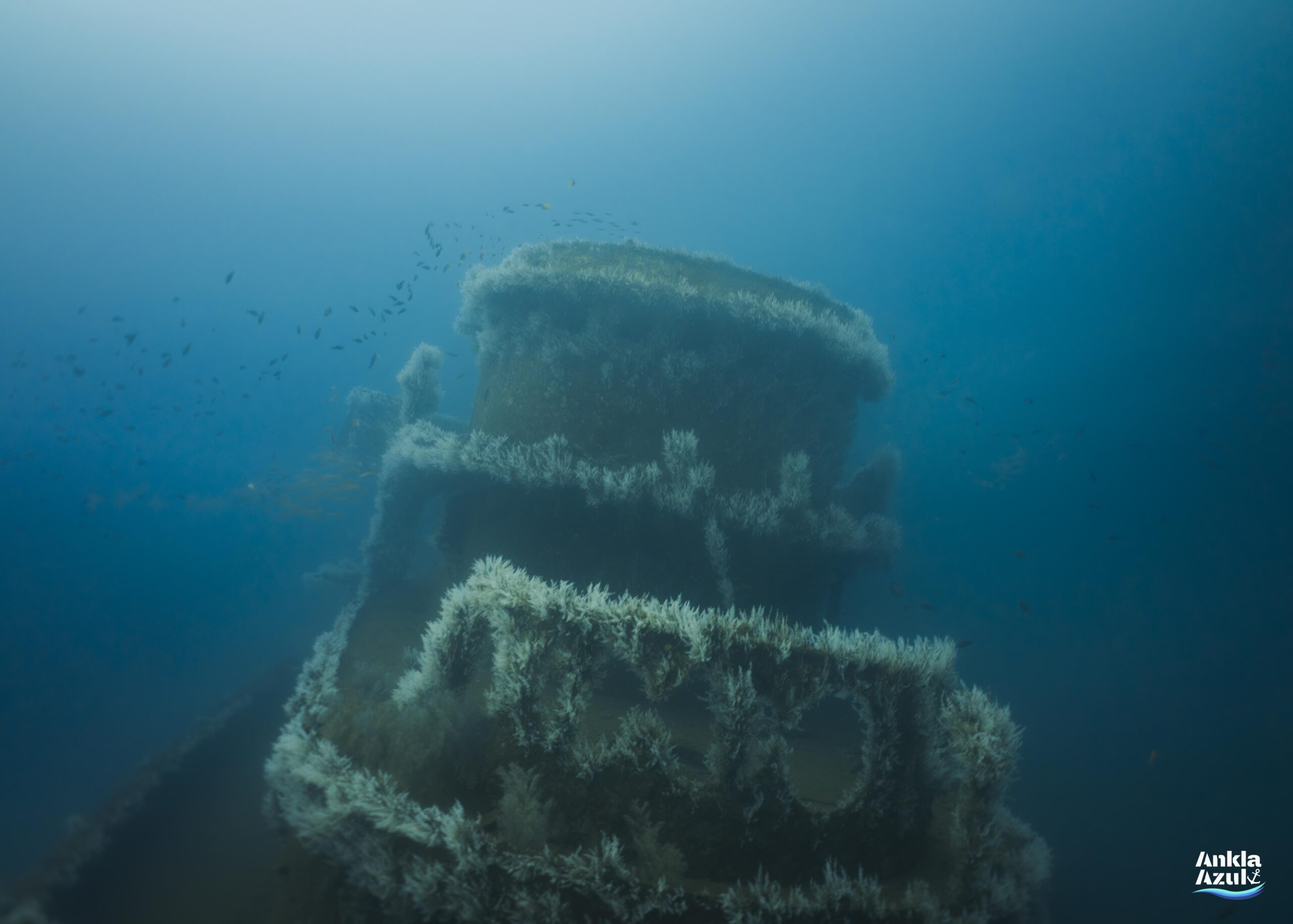 Sebastian de Belalcazar Shipwreck | Bahia Solano | Colombia